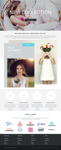 Cesis | Responsive Multi-Purpose WordPress Theme - Theme Grab